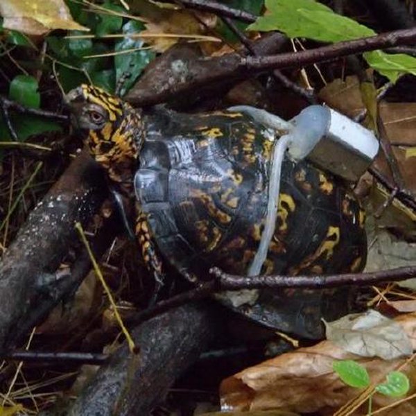 Adam Parlin's Profile | Hackaday.io