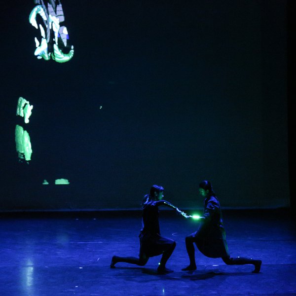 Firefly | Hackaday.io