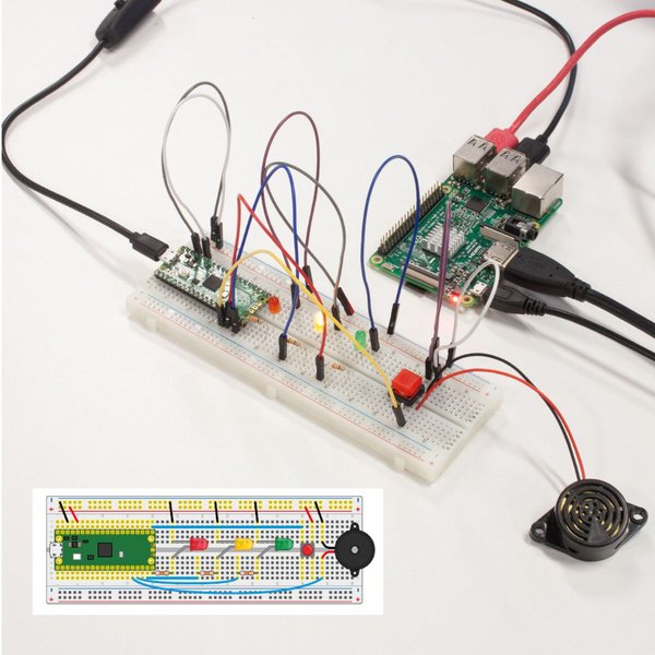Raspberry Pi Pico Projects W The Micropython Book 