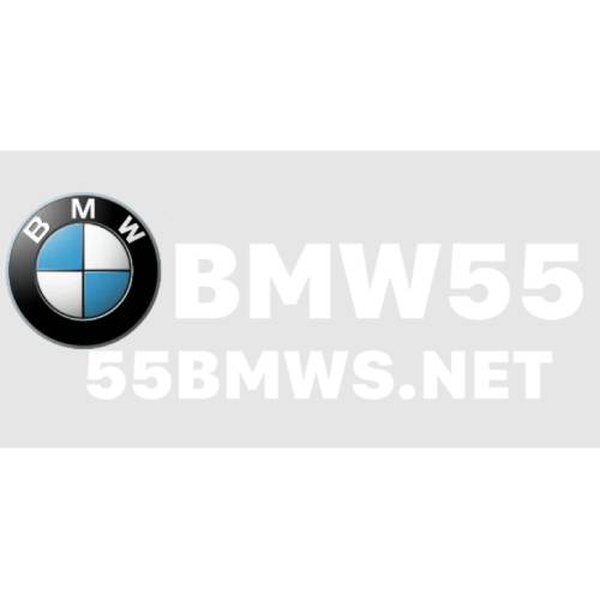 Bookmaker 55BMW's Profile | Hackaday.io