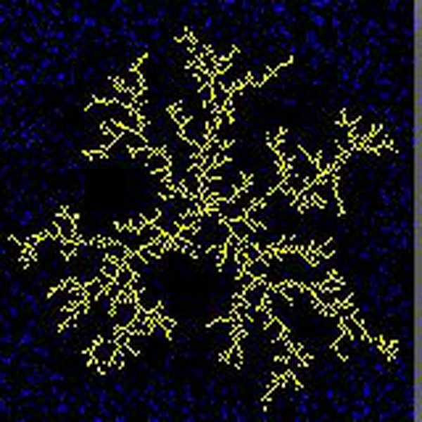 Physical Simulation With Cellular Automata