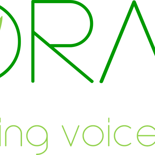 Florabot: Giving voice to Plants | Hackaday.io