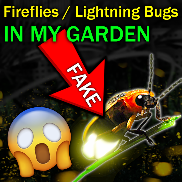 Make Fake Fireflies/Lightning Bugs for your Garden | Hackaday.io