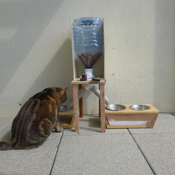 Automatic Kibble Dispenser | Hackaday.io