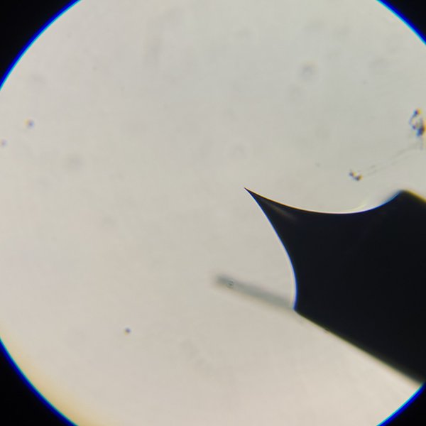 Atomic Force Microscope - from ground up | Hackaday.io