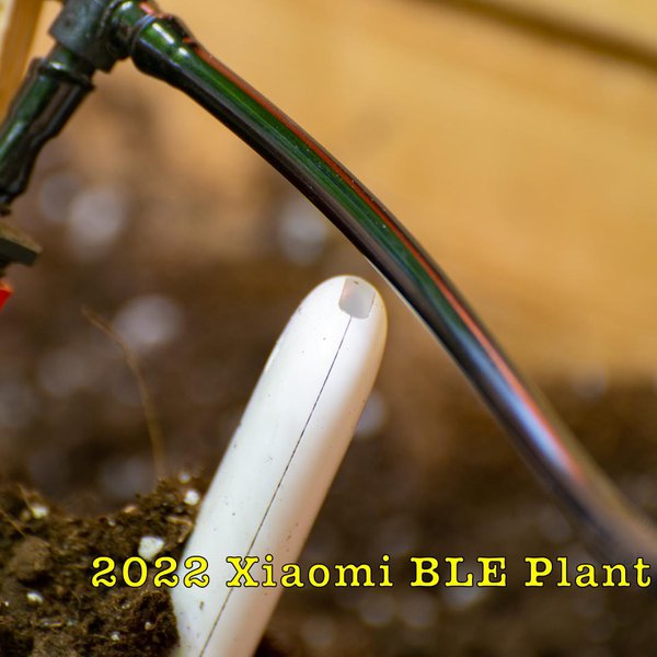 Raspberry Pi4 - Basic watering system for balcony | Hackaday.io