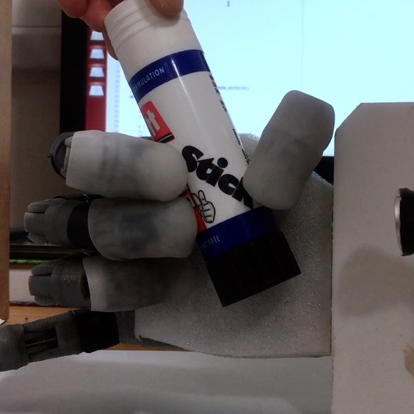 Vision Based Grasp Learning For Prosthetics