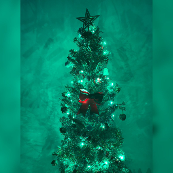 Christmas Color Light Controller 5446