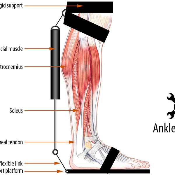 Ankle Booster | Hackaday.io