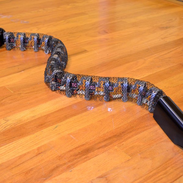 Slitherbot | Hackaday.io