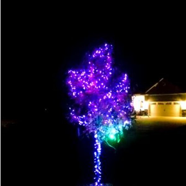 LED TREE LIGHTS | Hackaday.io