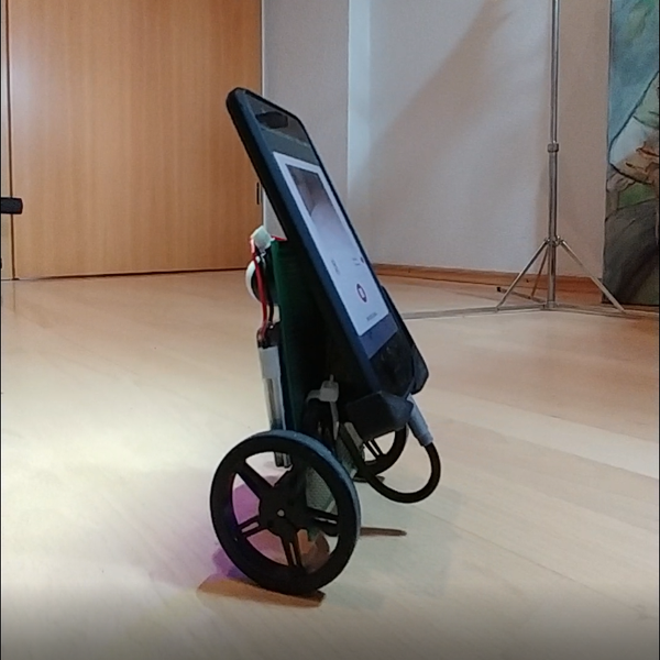 World’s first camera stabilized self balance robot | Hackaday.io