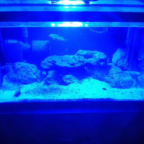Nano Aquarium LED Light and Water Flow Controller | Hackaday.io
