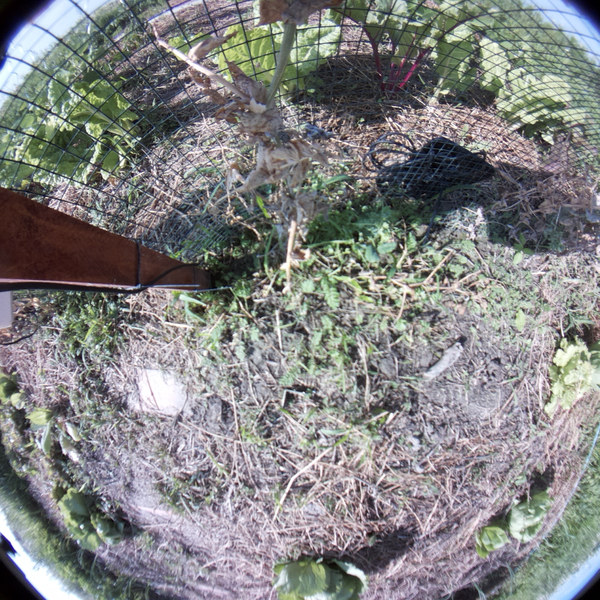 Time lapse by using NFR9160 and RPI(solar based) | Hackaday.io