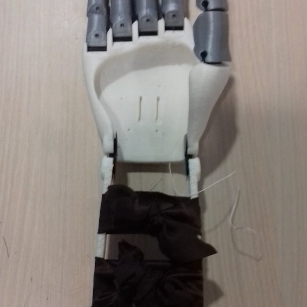 Economic Prosthetic Hand | Hackaday.io