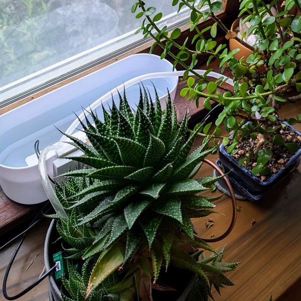 Plant133 | Hackaday.io