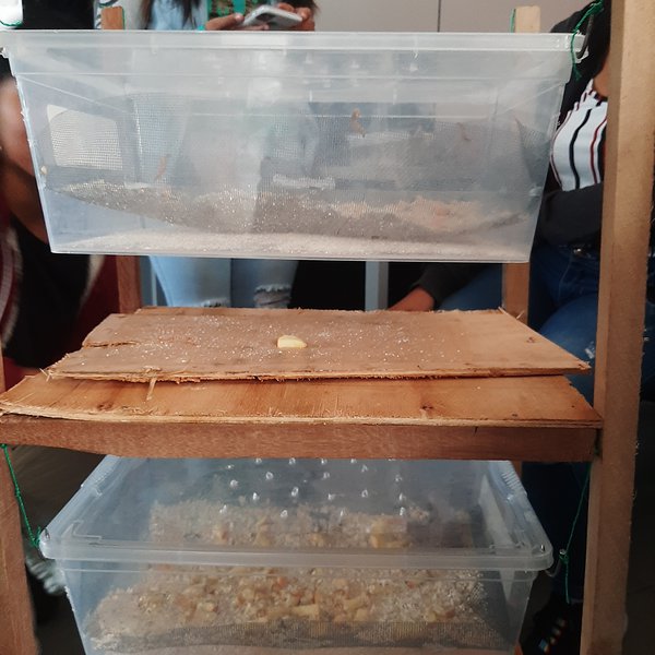El Domo Mealworm Farm | Hackaday.io