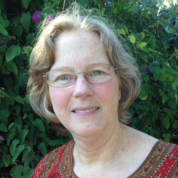 susan cameron's Profile | Hackaday.io