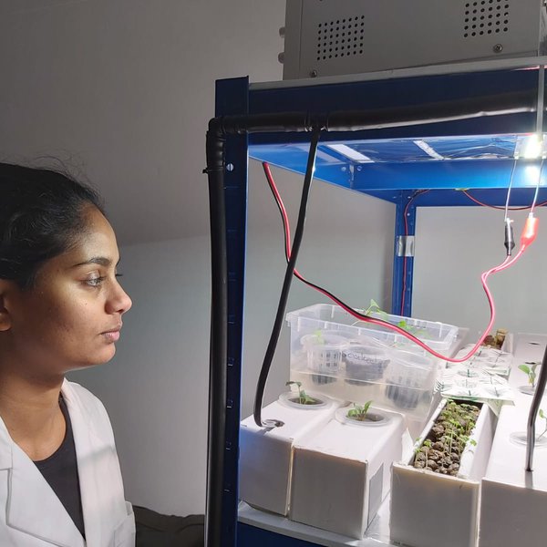 Machine Sun - A Hydroponics Project | Hackaday.io