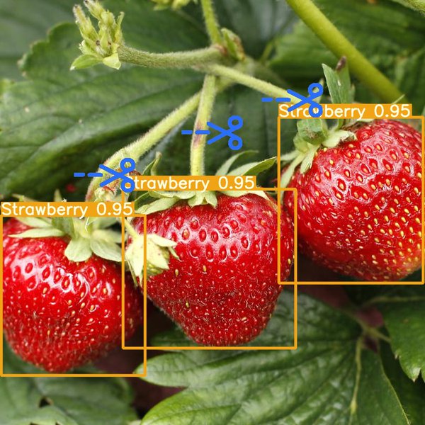 Strawberry Picking Robot