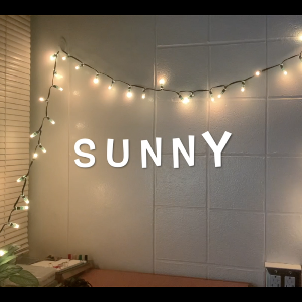 Smart String Lights | Hackaday.io