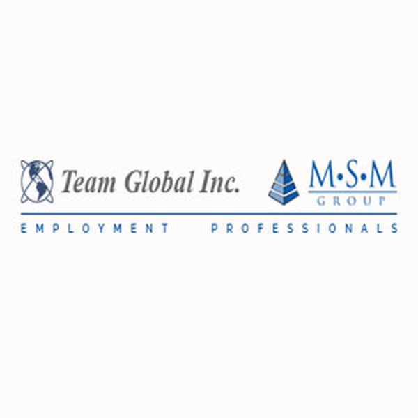 MSM Group's Profile | Hackaday.io