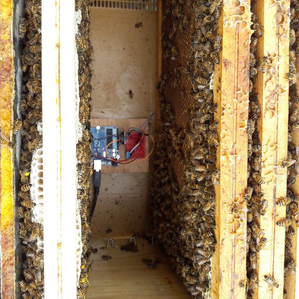 Connected Beehive | Hackaday.io