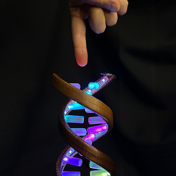 Gesture Controlled DNA Wooden Desk Lamp | Hackaday.io