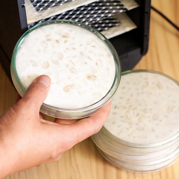 An open-source fermenter | Hackaday.io