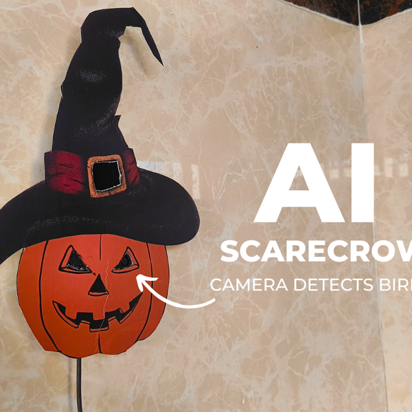AI Scarecrow - Makes Noise When It Sees Birds | Hackaday.io