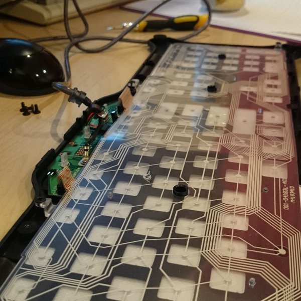 EVA (Electronic Voice Assistant) | Hackaday.io