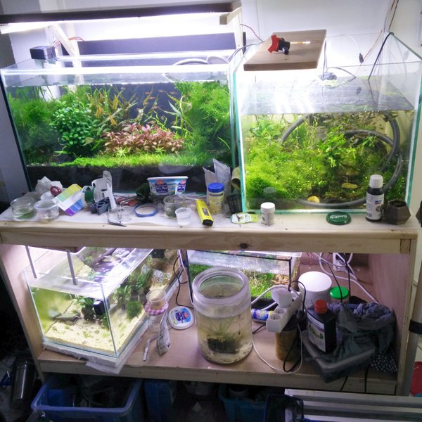 My Smart FishRoom/Animal Room | Hackaday.io