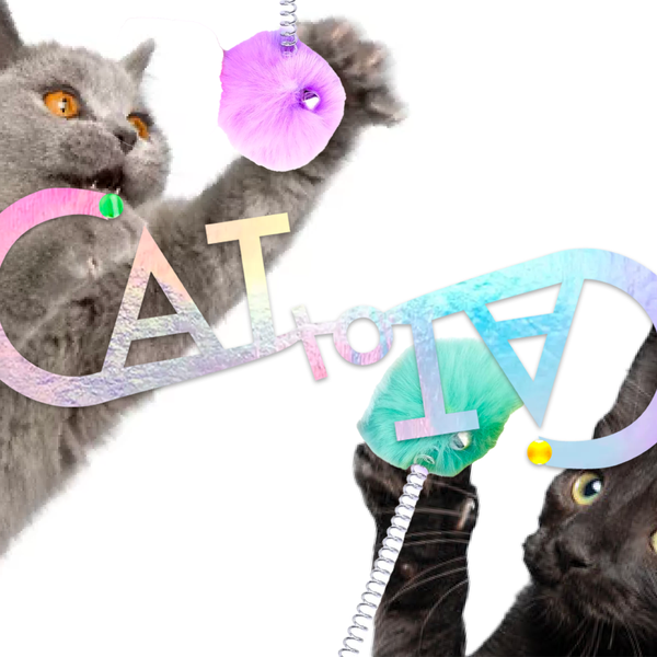IoT Cat Toys | Hackaday.io