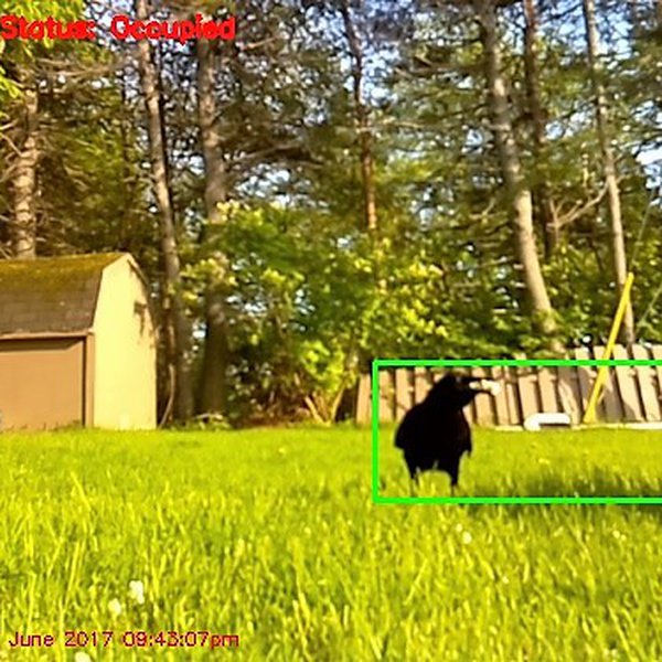 Wild Eye | Hackaday.io