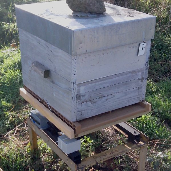 Beehive Monitoring and Tracking | Hackaday.io