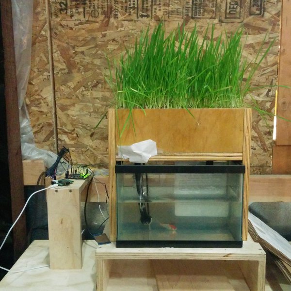 Smart Aquaponics | Hackaday.io