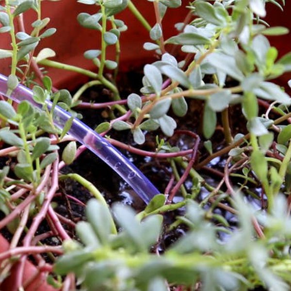 IoT Automatic Plant Watering System using Arduino | Hackaday.io